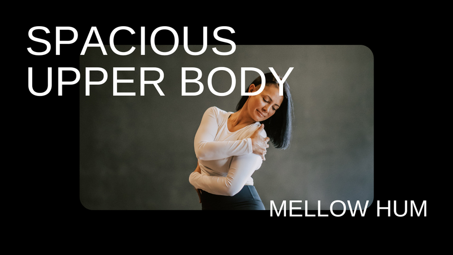 Humming Puppy On Demand