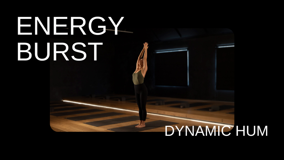 Humming Puppy On Demand