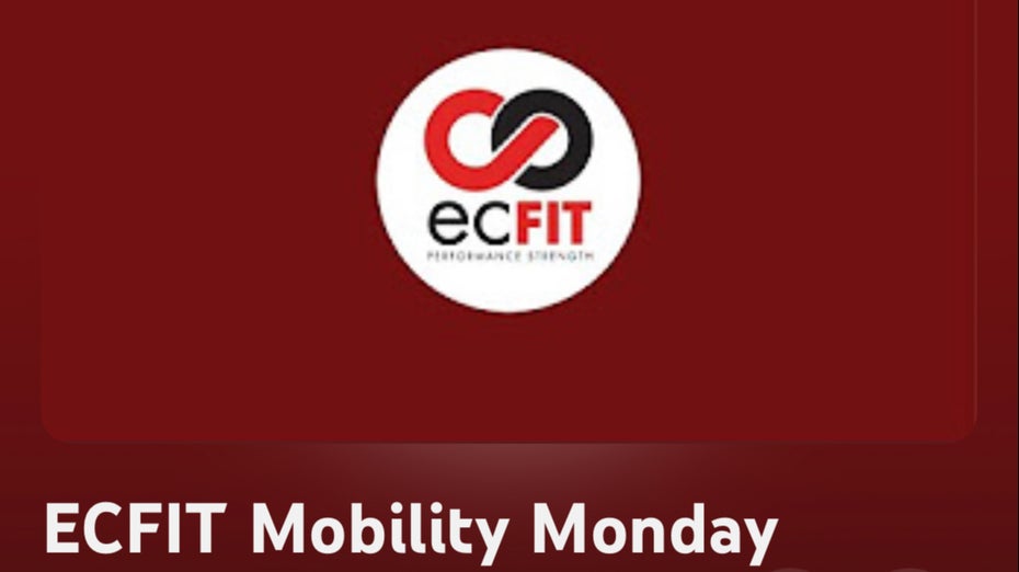 ECFIT Performance Strength