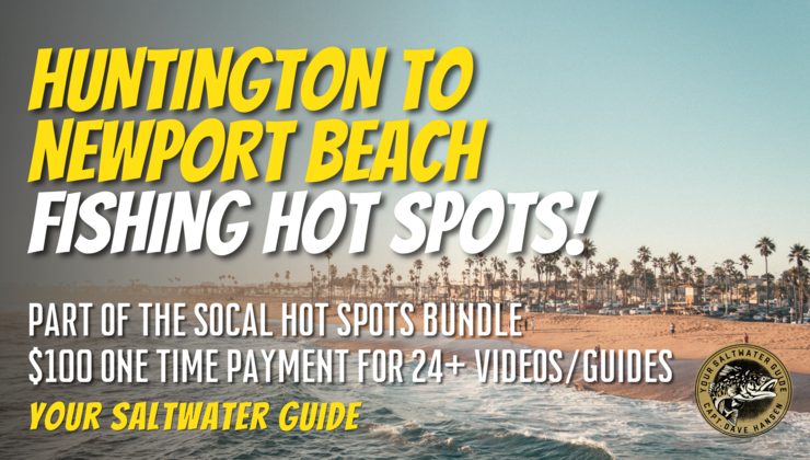 The Ultimate Guide to Fishing in Southern California | Your Saltwater Guide
