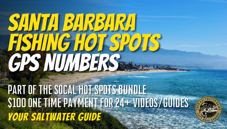 The Ultimate Guide to Fishing in Southern California | Your Saltwater Guide
