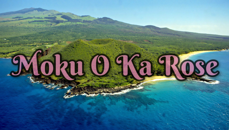 K U A N A • Bringing Hula and Hawaiian Culture to the World | Kuana ...
