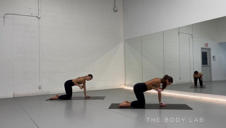 | The Body Lab
