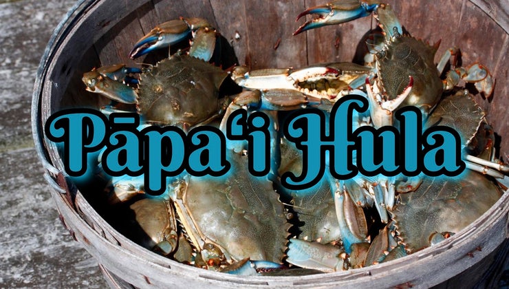 K U A N A • Bringing Hula and Hawaiian Culture to the World | Kuana ...