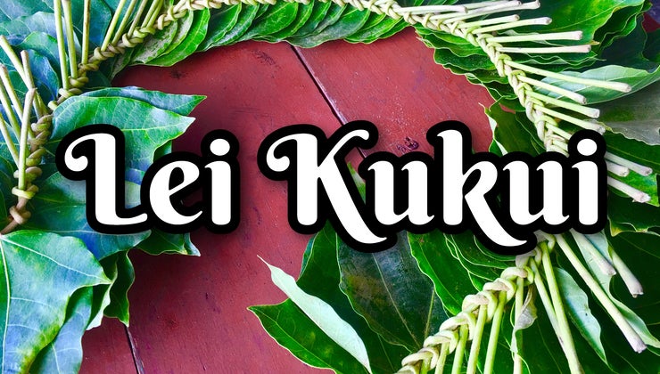 K U A N A • Bringing Hula and Hawaiian Culture to the World | Kuana ...