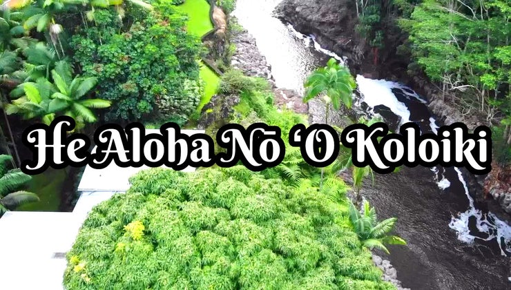 K U A N A • Bringing Hula and Hawaiian Culture to the World | Kuana ...