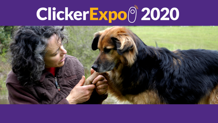 Animal Training and Dog Training Streaming Videos | Video on Demand by Karen Pryor Clicker Training