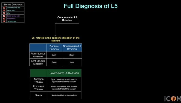 ICOMT - ICOM OMT Video Library | OMT Video Library