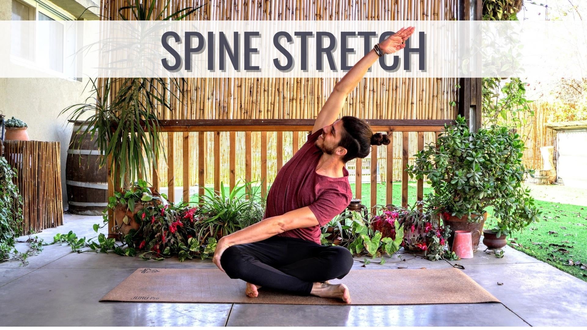 Spine Stretch