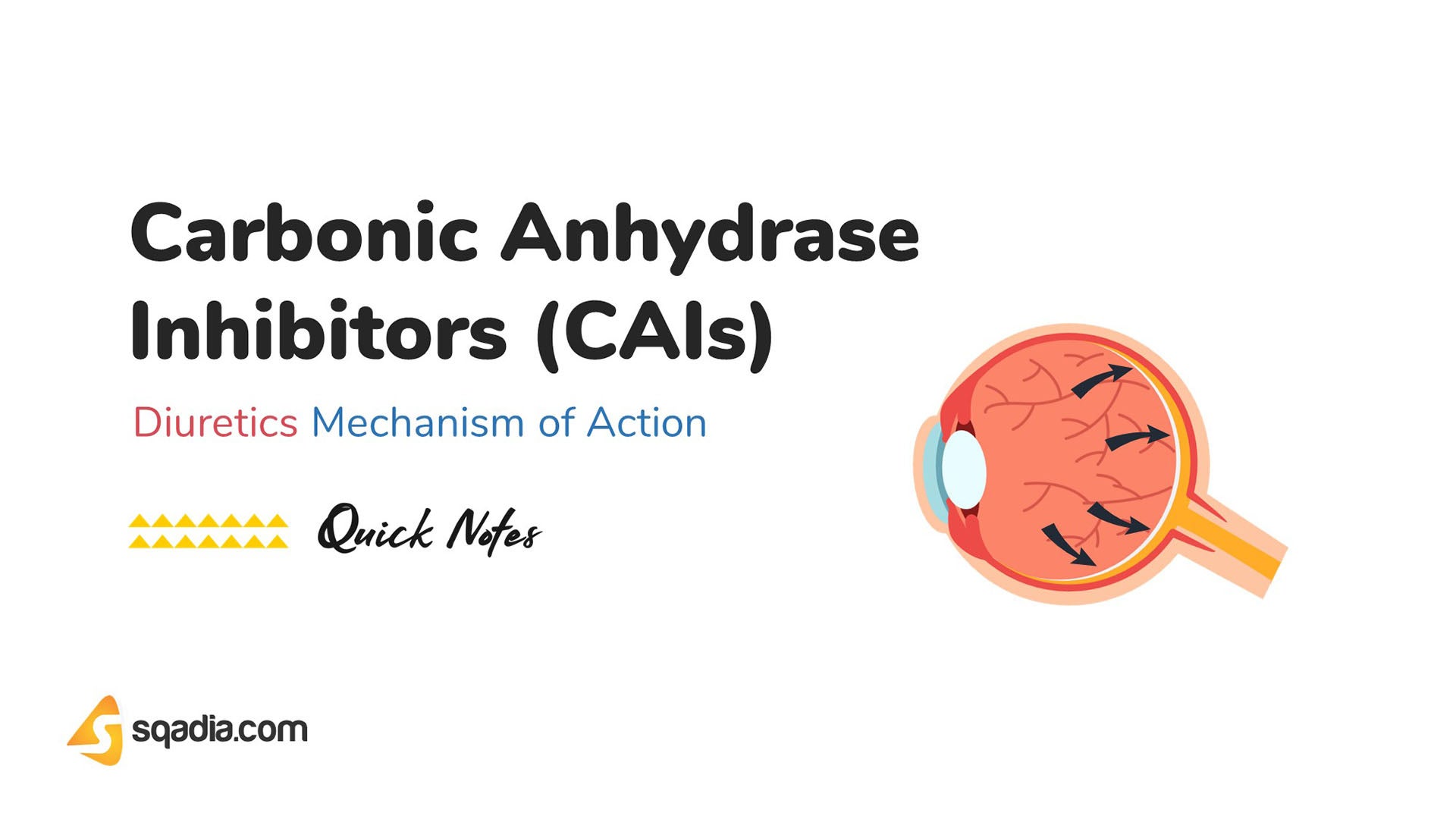 Carbonic Anhydrase Inhibitor