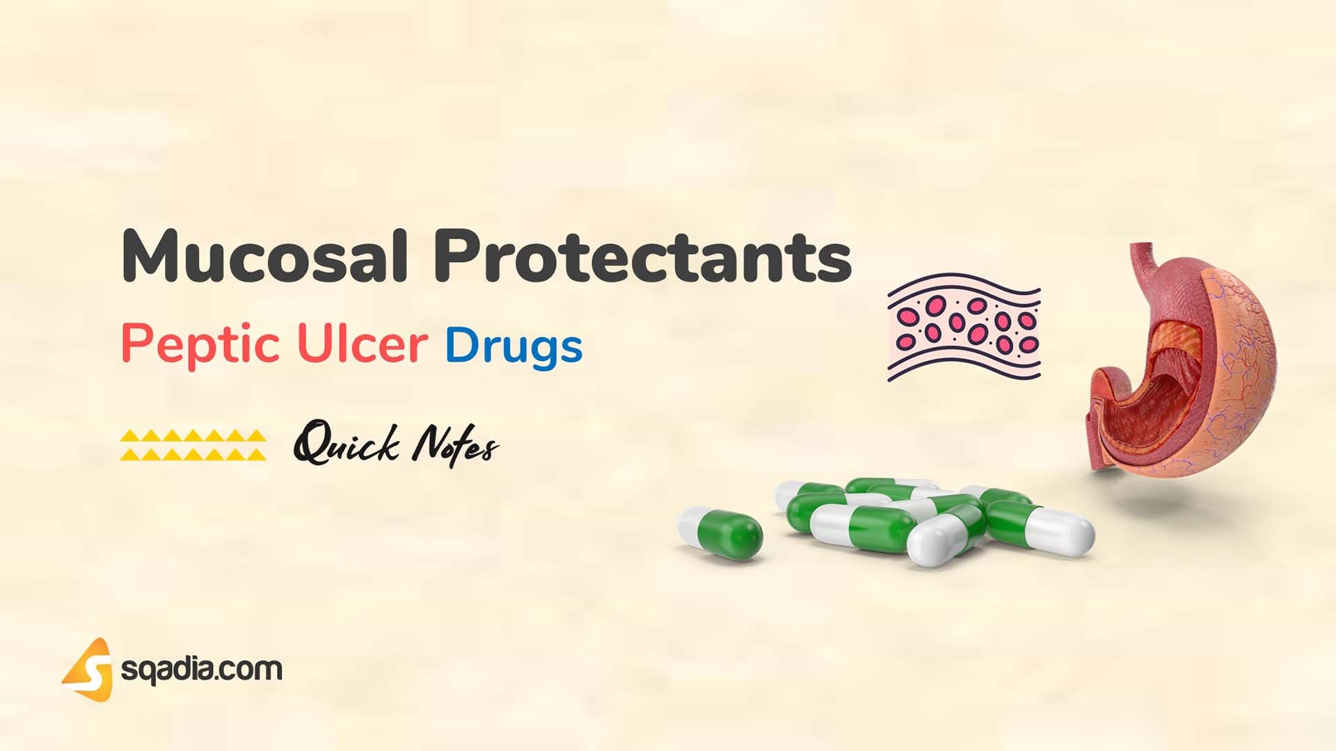 Peptic Ulcer Drugs - Mucosal Protectants