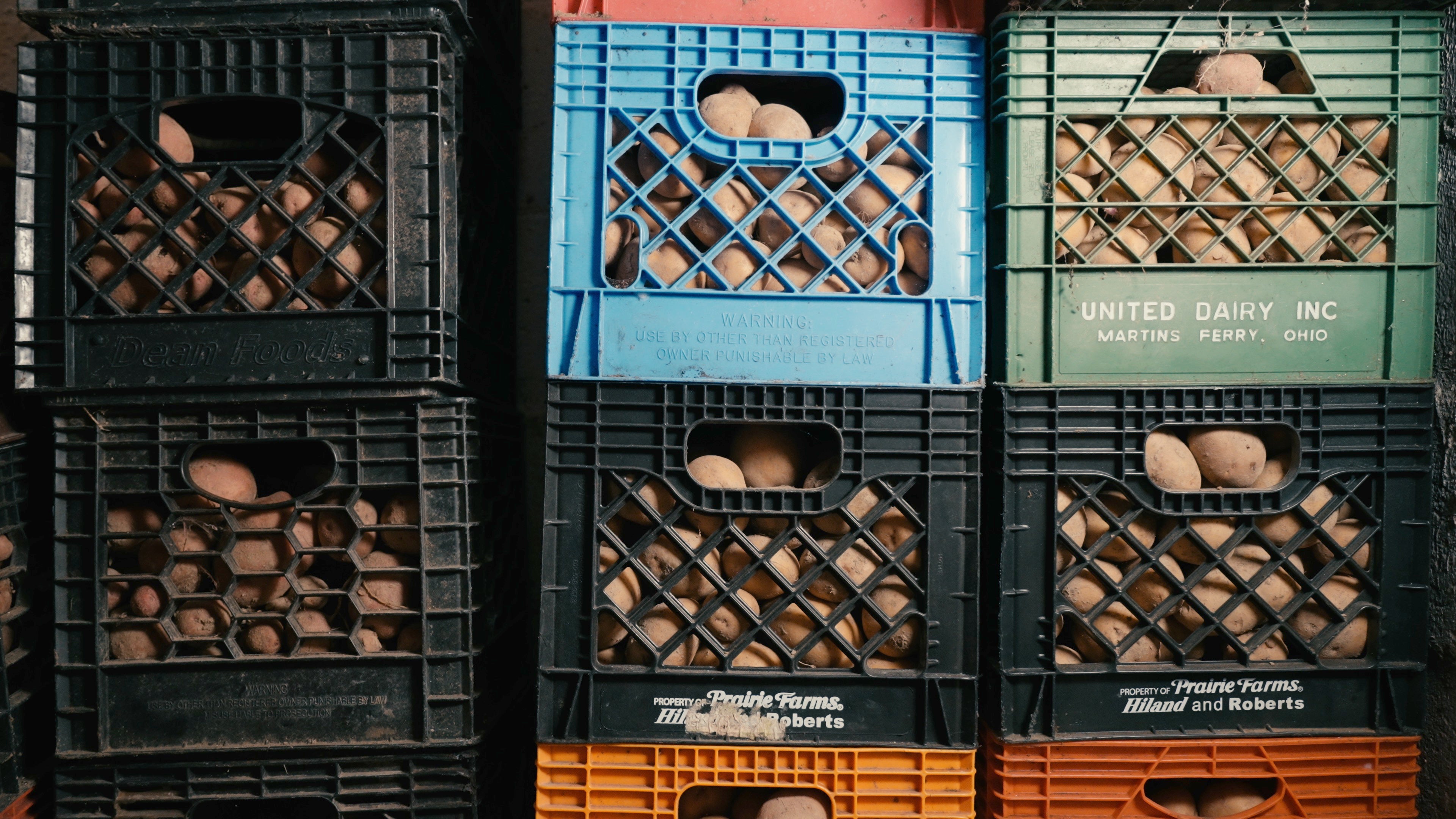 Homestead Storage | Managing the Abundance