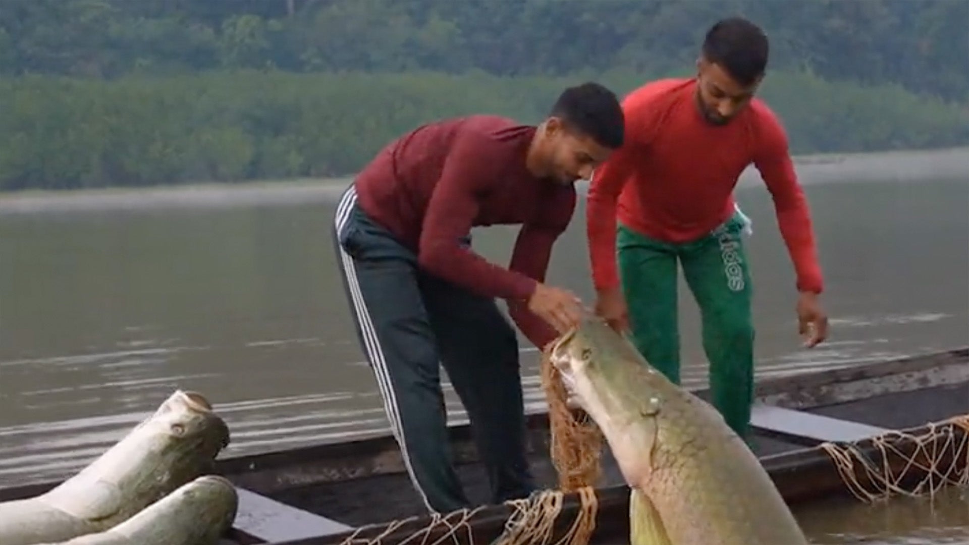 Fishy Fashion | WORLD Watch