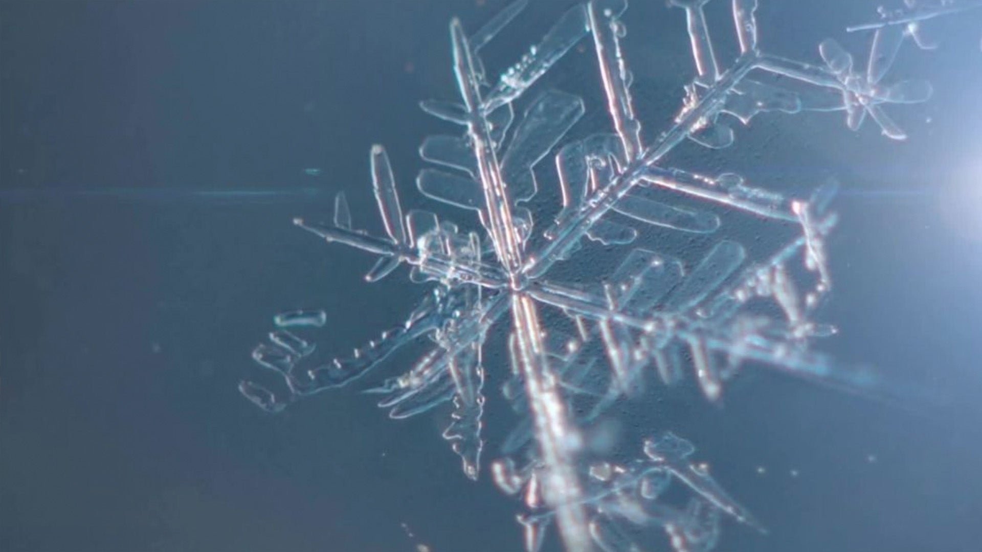 Signature Science: Snowflakes | WORLD Watch