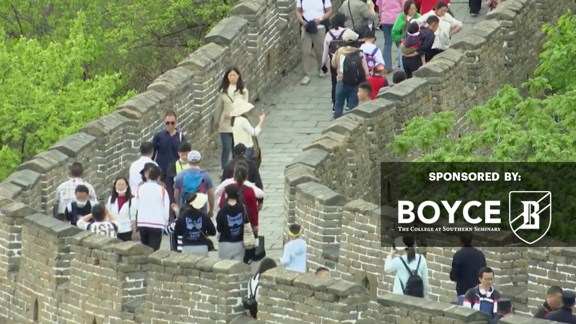 "World May Day celebrations, Organ donation, Quiz on vultur | WORLD Watch