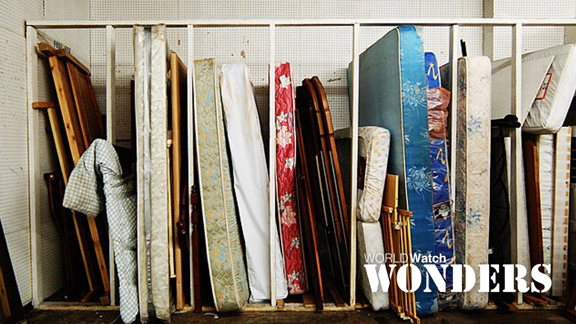 World Watch Wonders: Mattress Tags | WORLD Watch