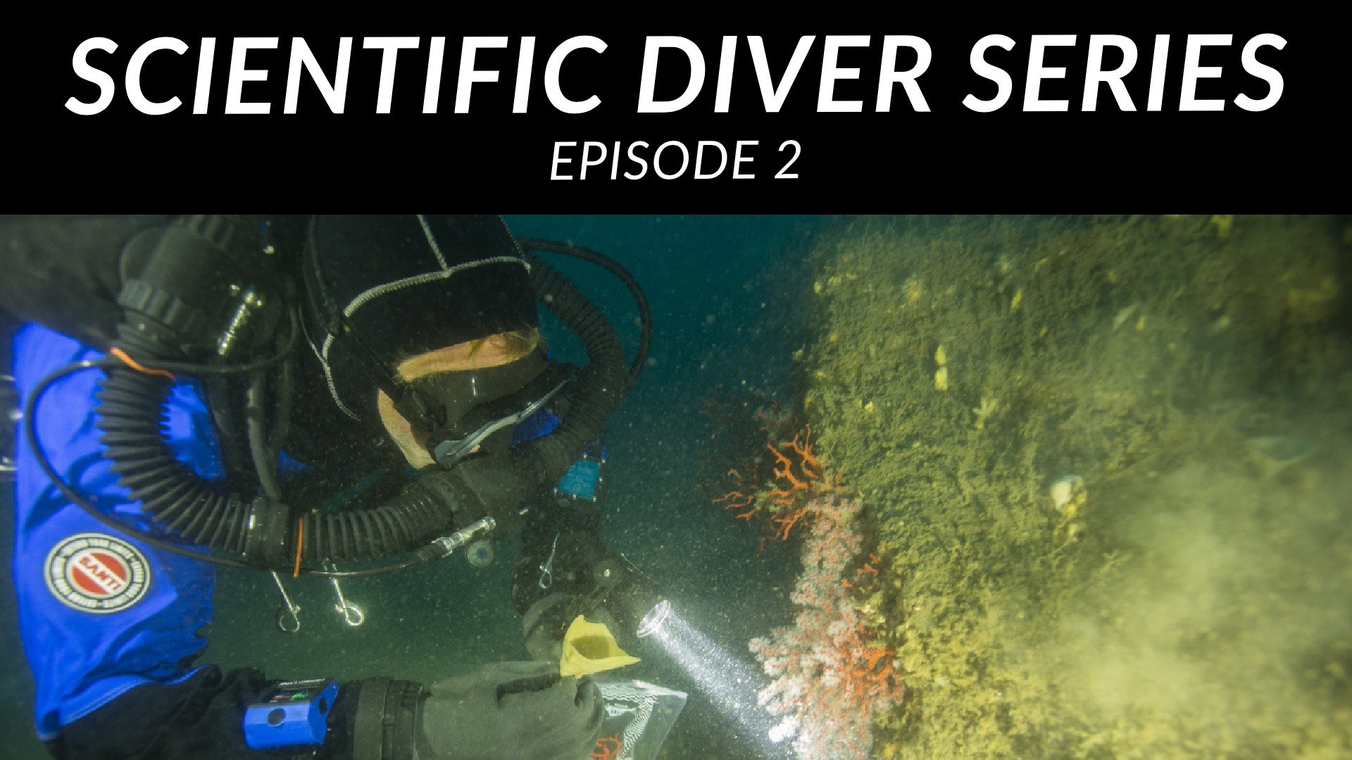 How to create research questions in scientific diving?