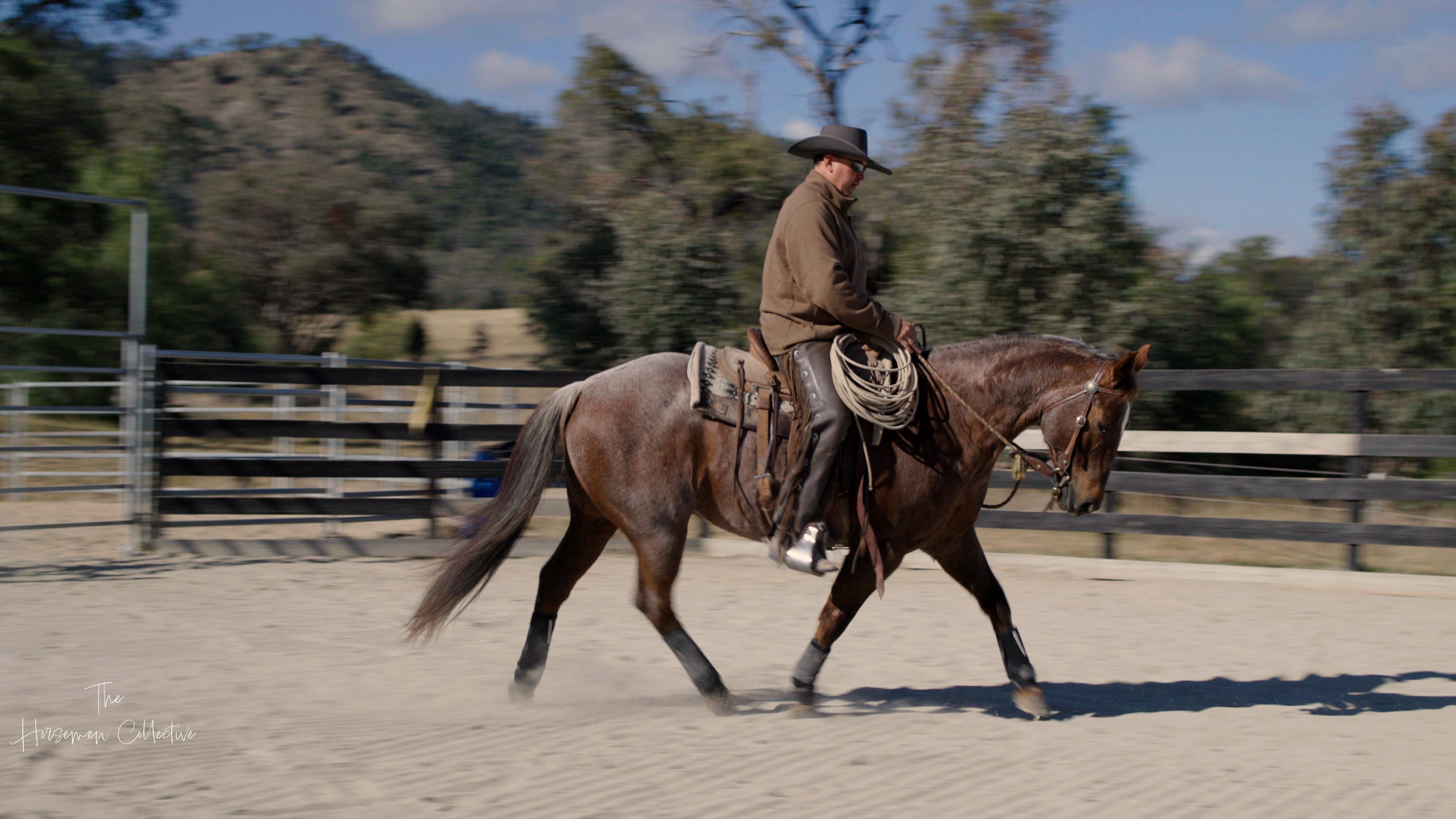 STOPPING | The Horsemen Collective