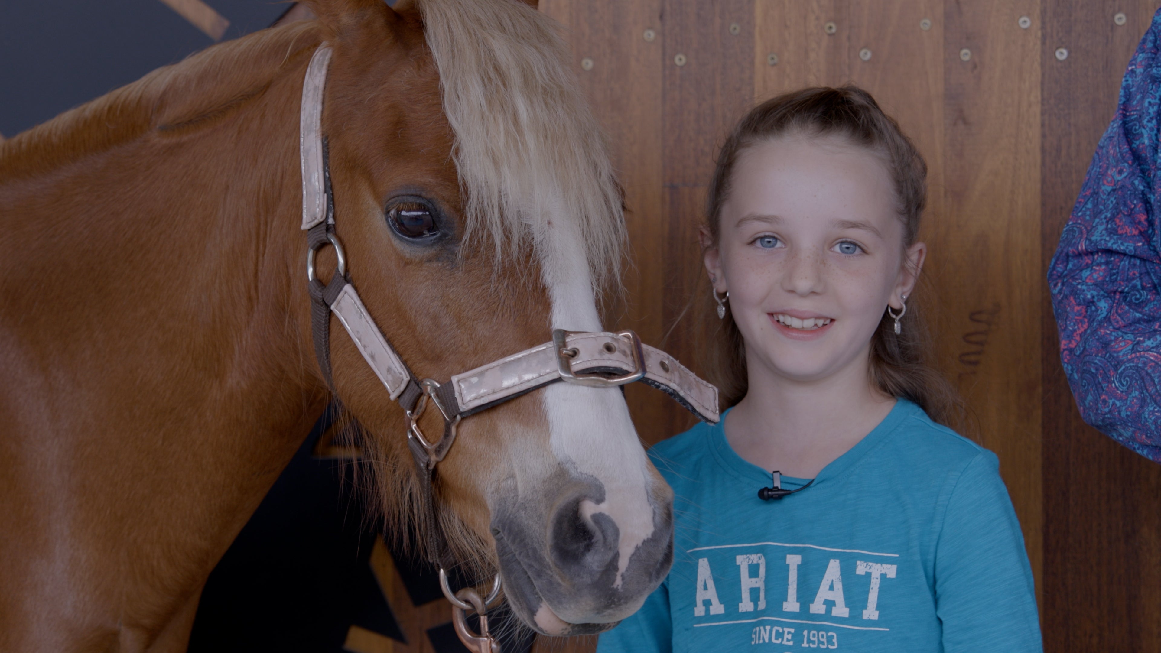 BASIC ANATOMY 101 | The Horsemen Collective