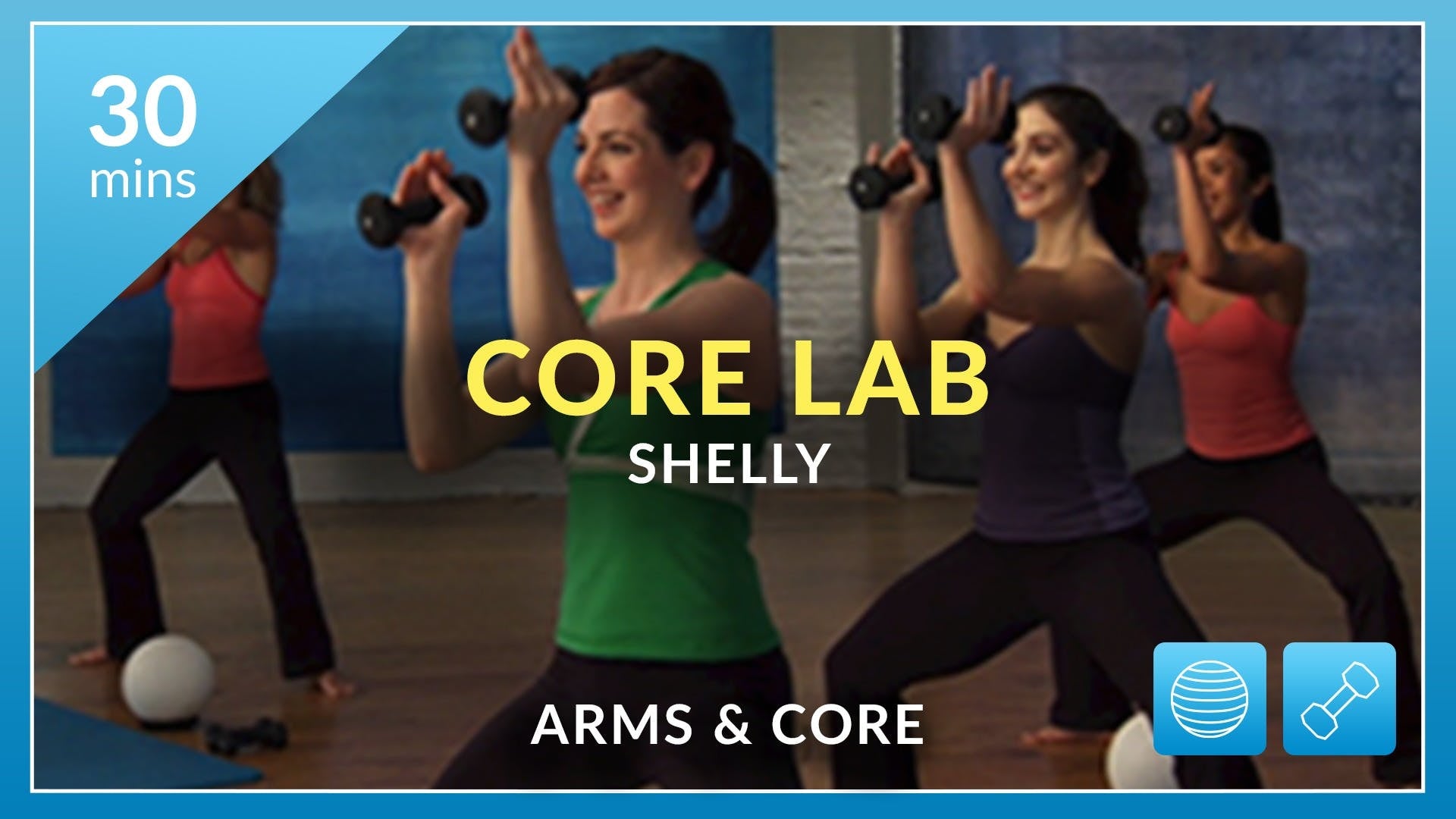 Core Lab: Arm & Ab Booster with Shelly DVD