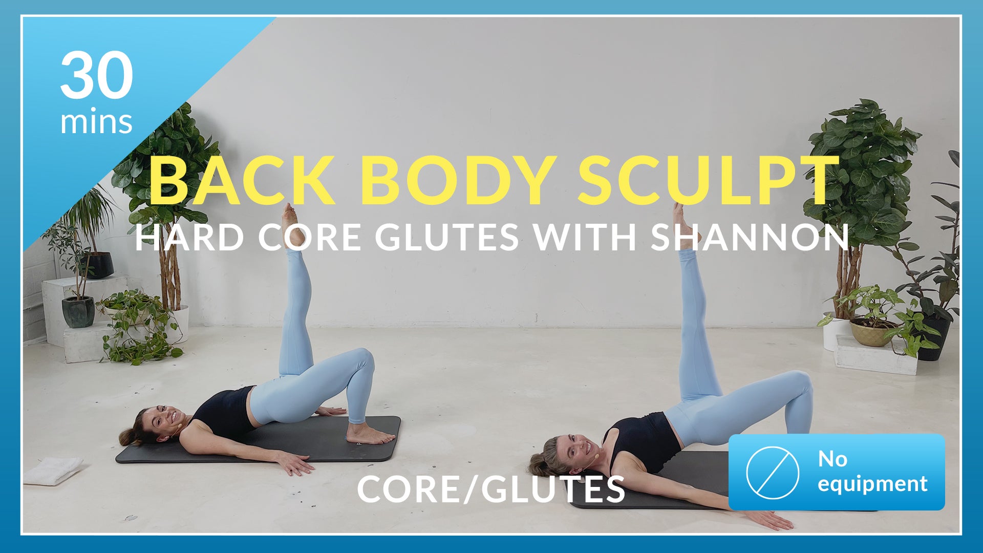 Back Body Sculpt: Hard Core Glutes with Shannon