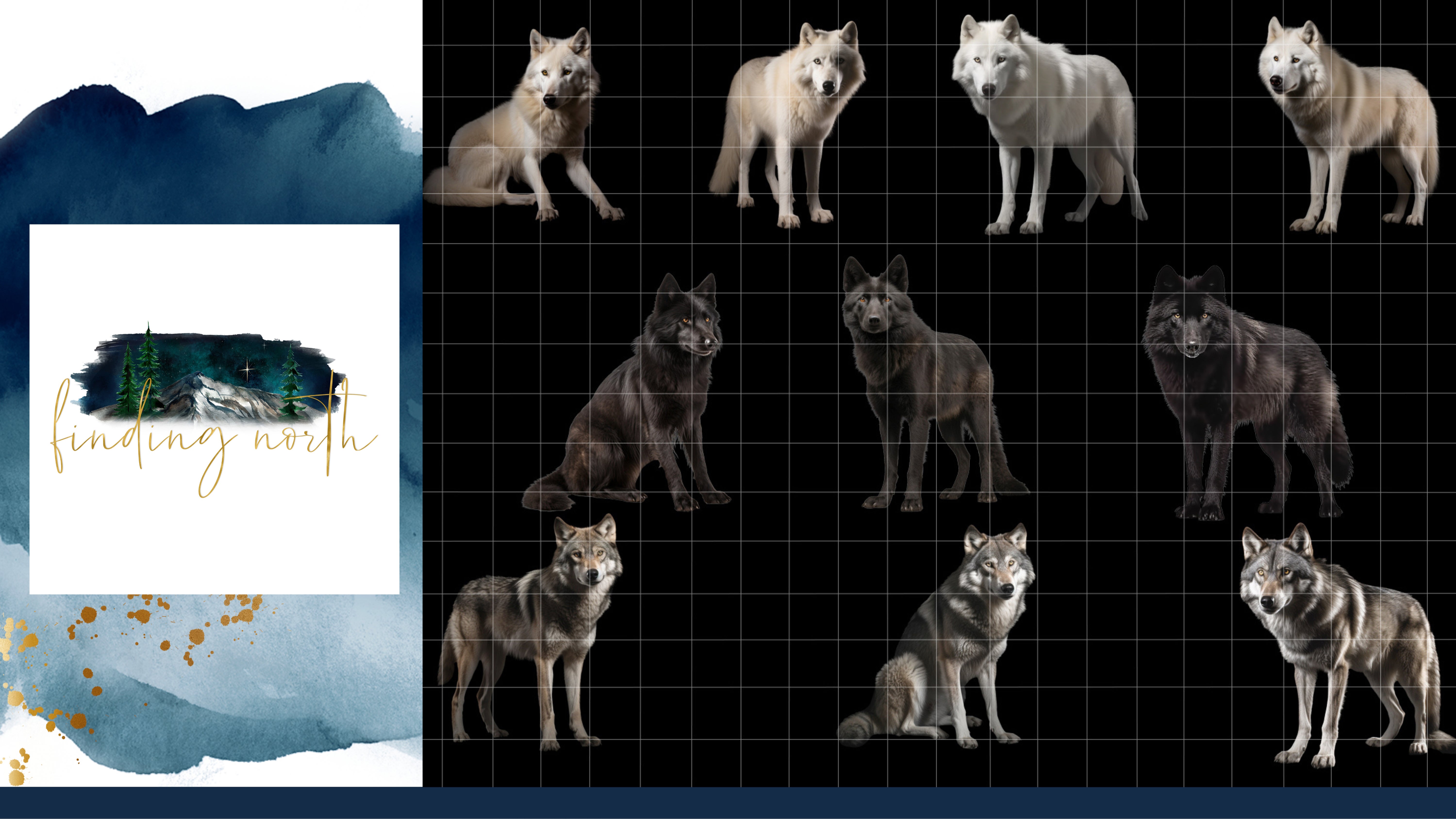 Finding North Educational Resources for Photographers | Wolf Digital ...