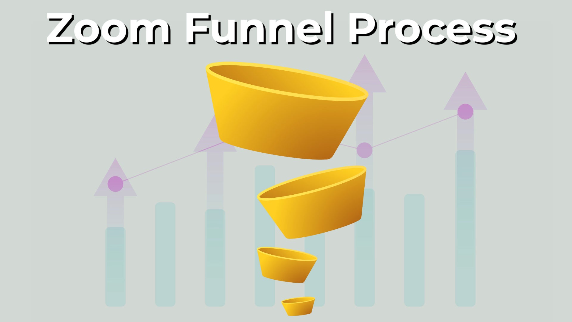 A fabulous Zoom tool that is a must learn for a Ninja | Ninja You