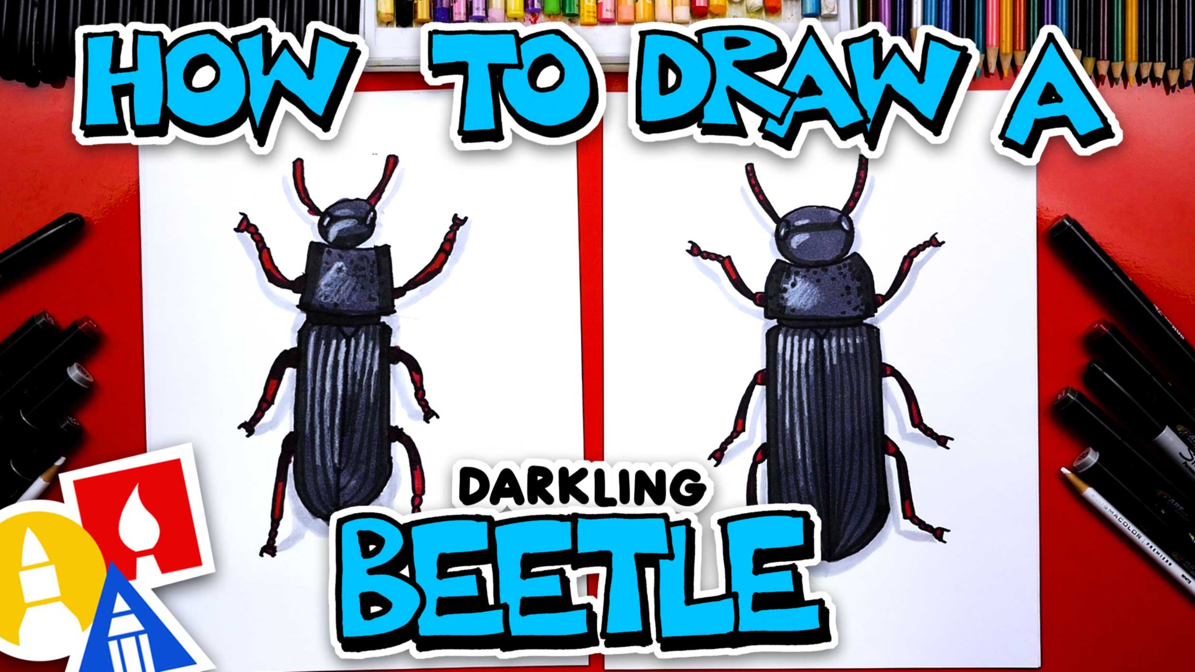 How To Draw A Darkling Beetle | Art For Kids Hub