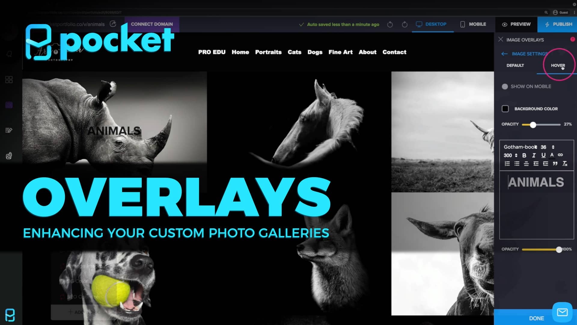Using Overlays | PRO EDU Photographer Education Tutorial