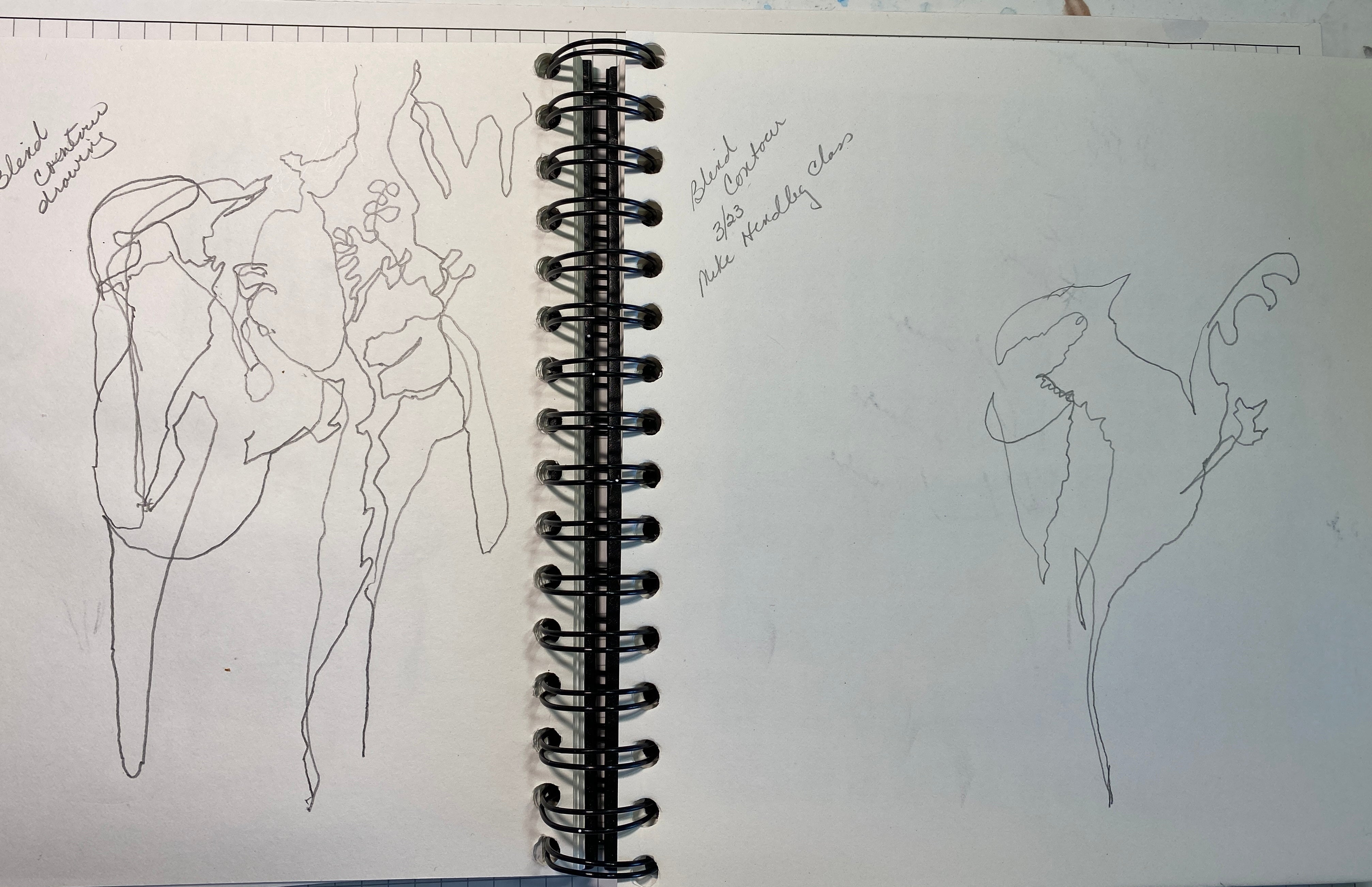 Drawing Animals in Graphite
