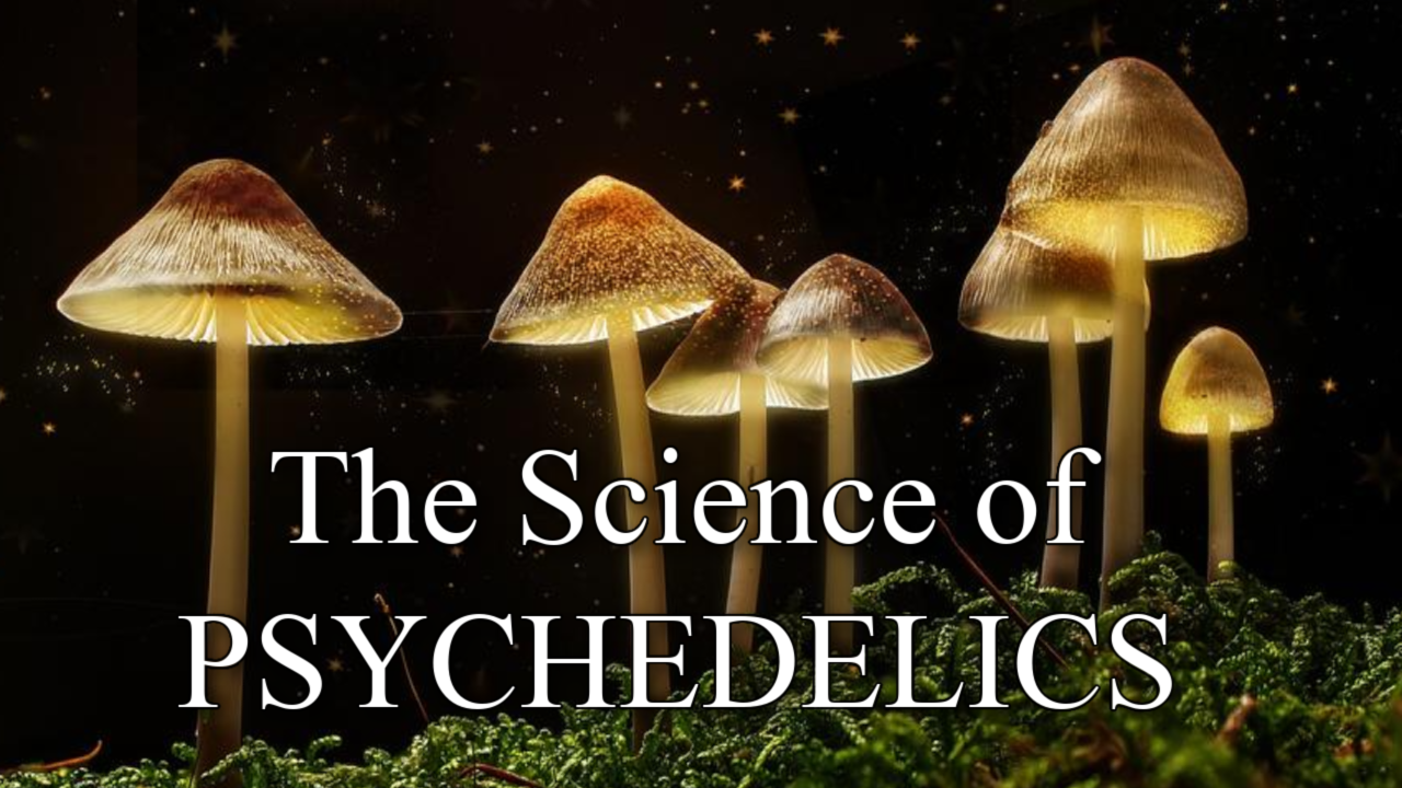 Gnostic TV Network, Ancient Wisdom Reimagined