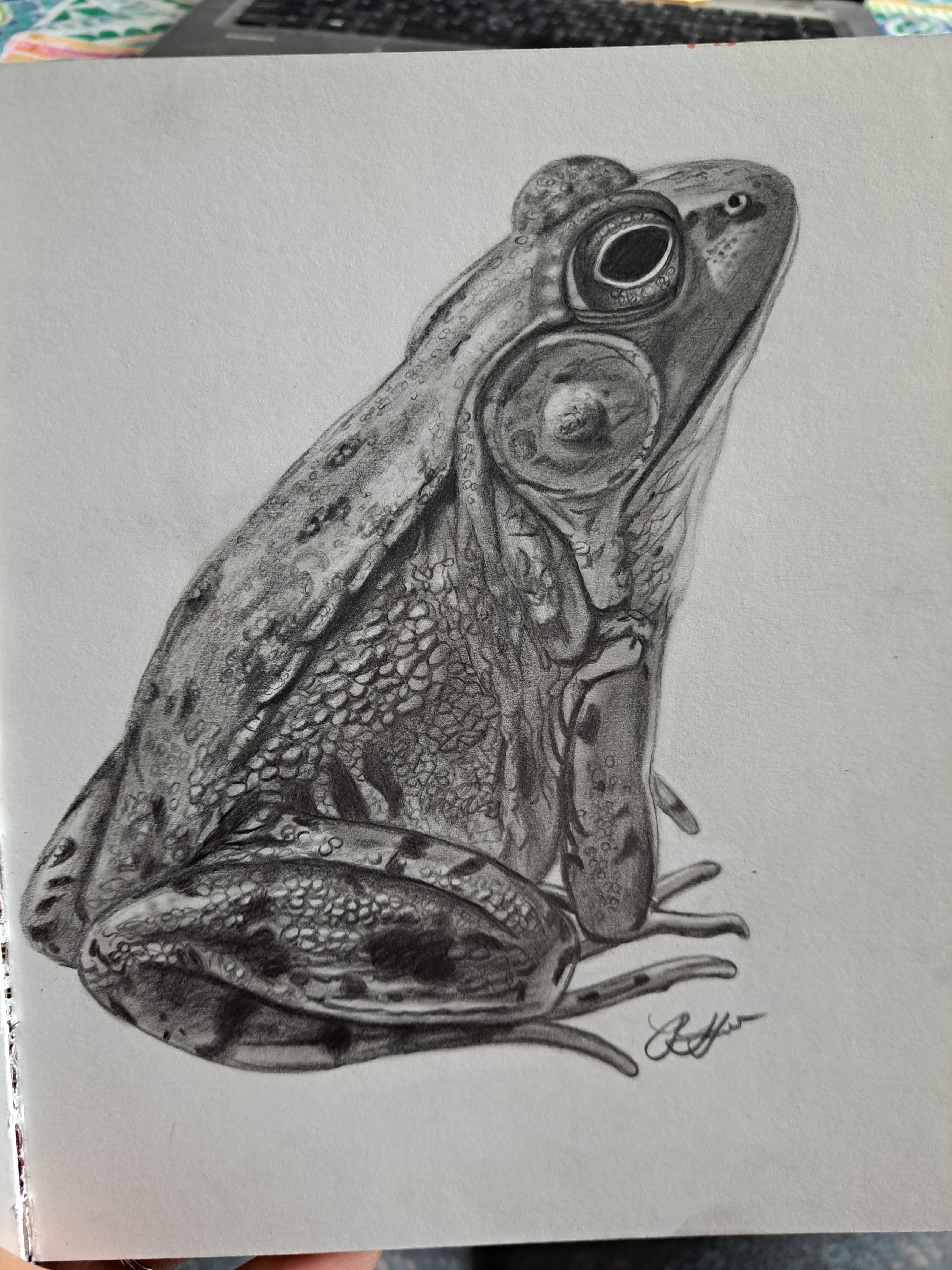 Textures and Depth with Graphite Pencil Drawing