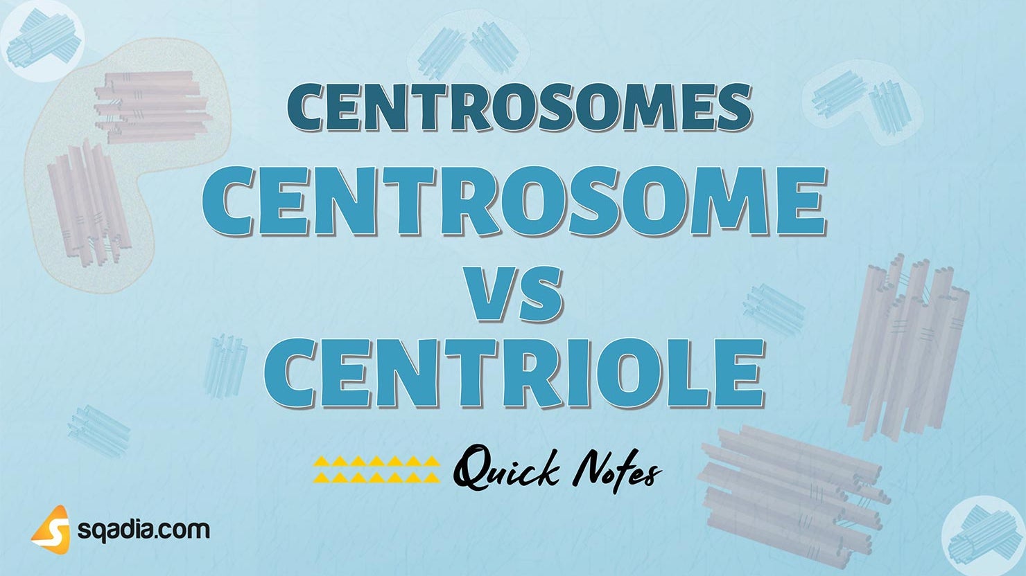 Centrosome