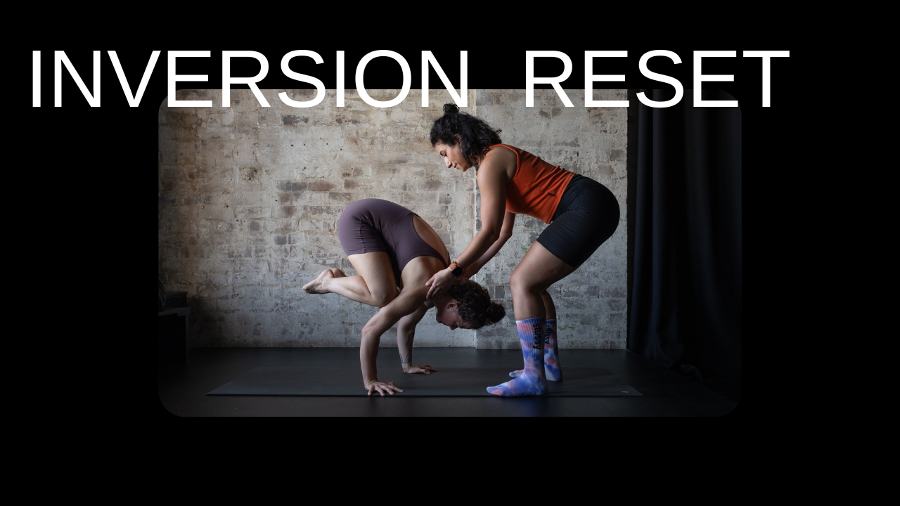 Humming Puppy On Demand