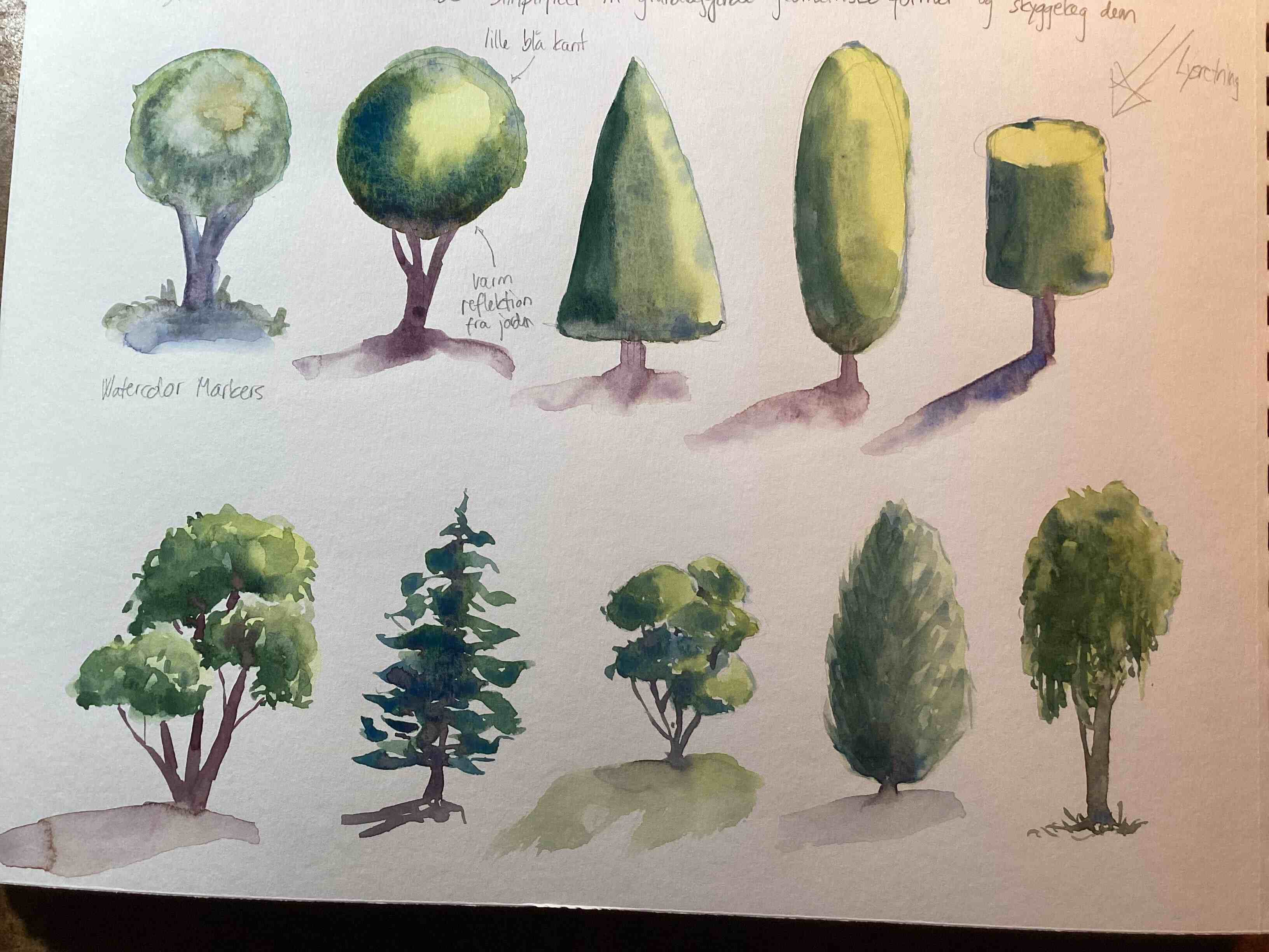 Mastering Watercolour Landscapes with Steve Mitchell