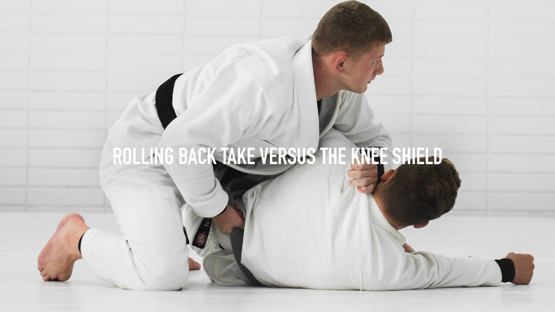 Rolling Back Take Versus the Knee Shield | AOJ+