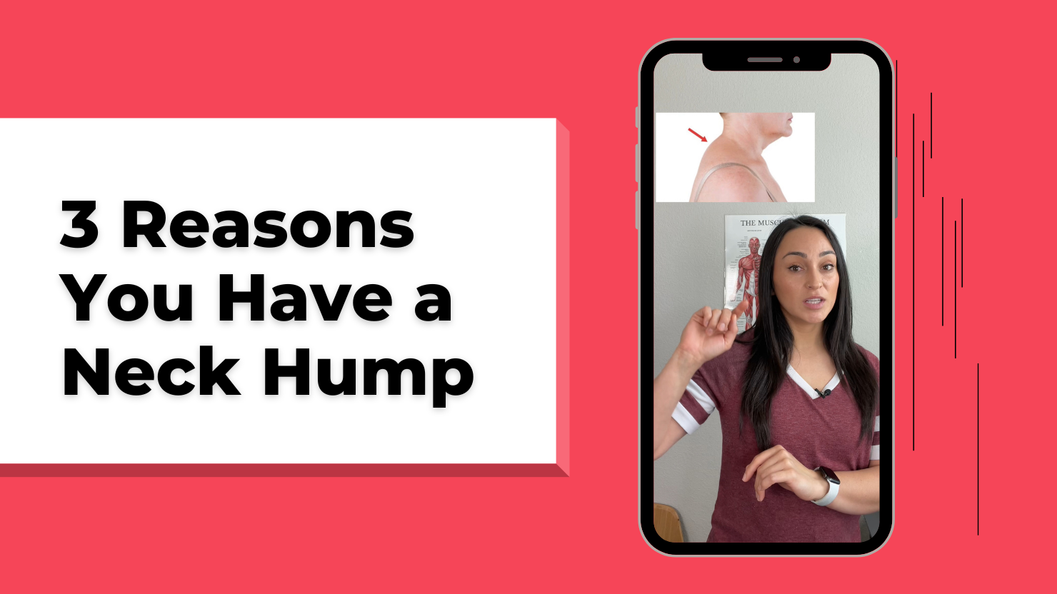 Posture Alignment Academy