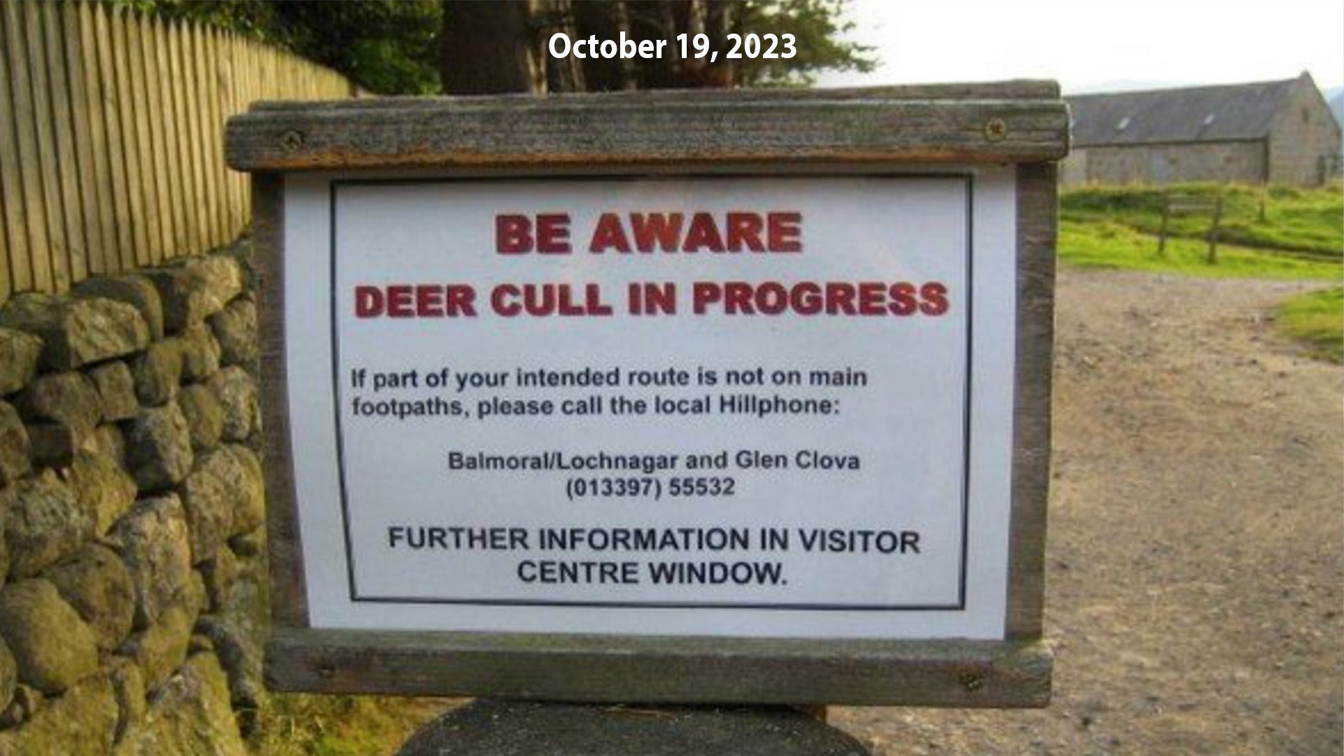 Deer Culling | WORLD Watch