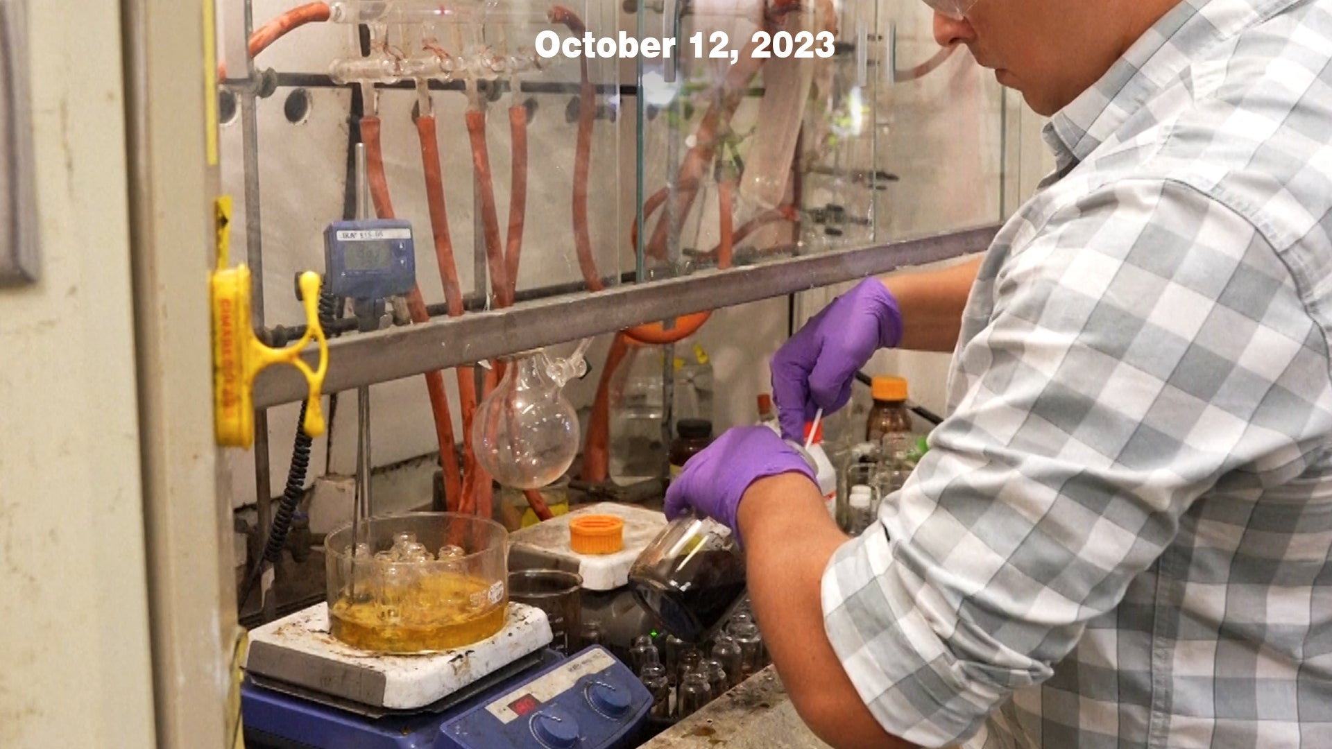 Signature Science: Sea Life Glue | WORLD Watch