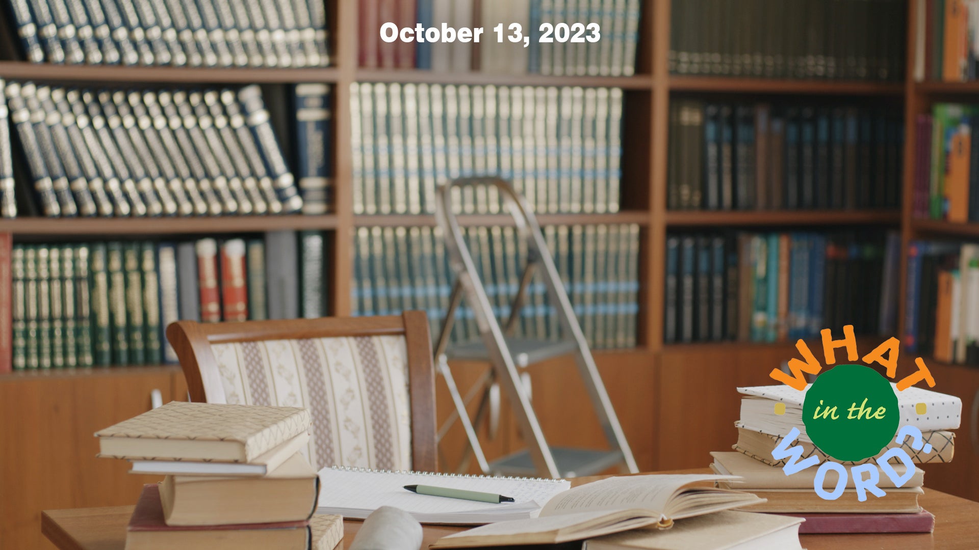 What In The Word: New Words of 2023 | WORLD Watch