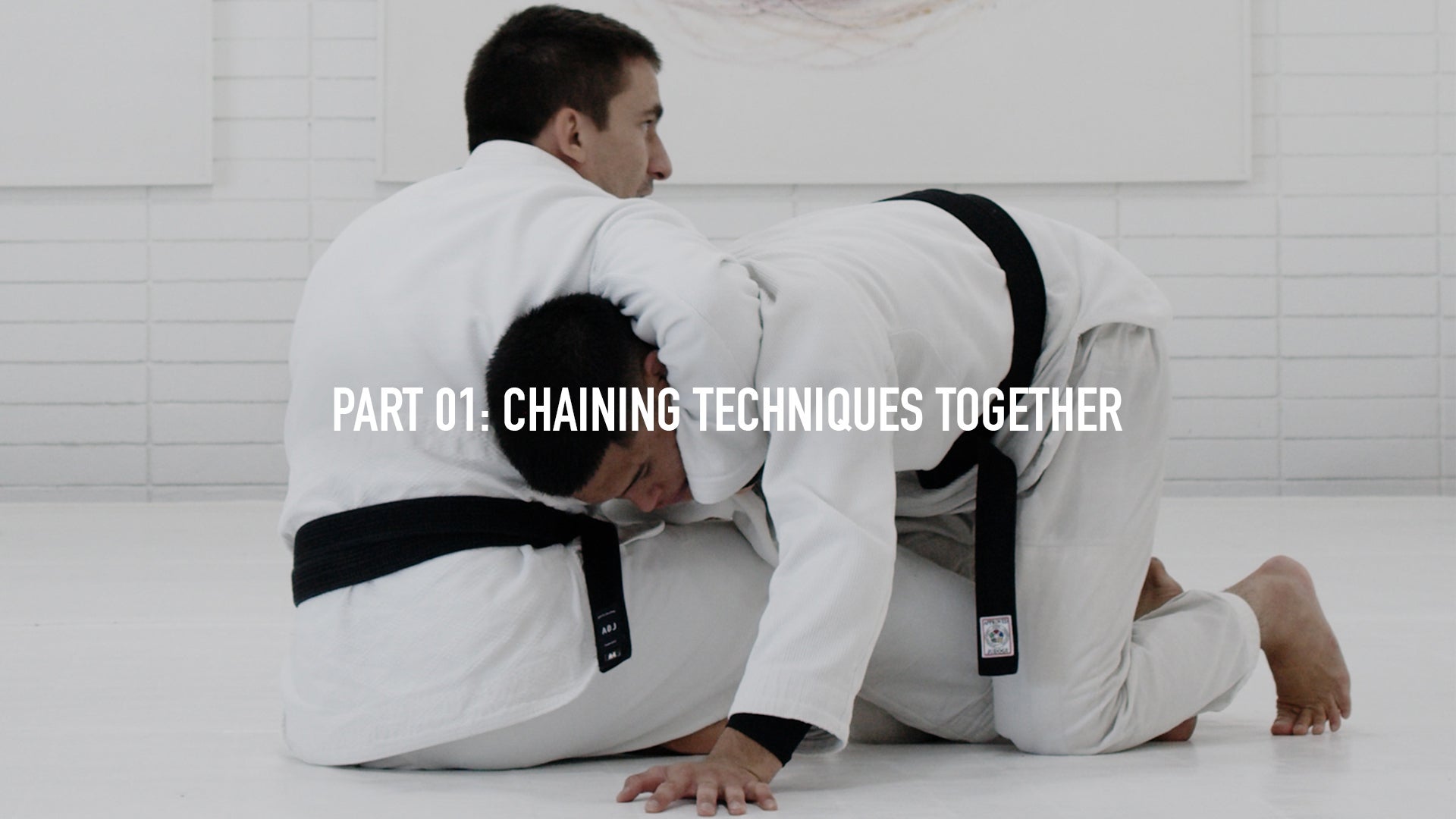 Part 01: Chaining Techniques Together | AOJ+