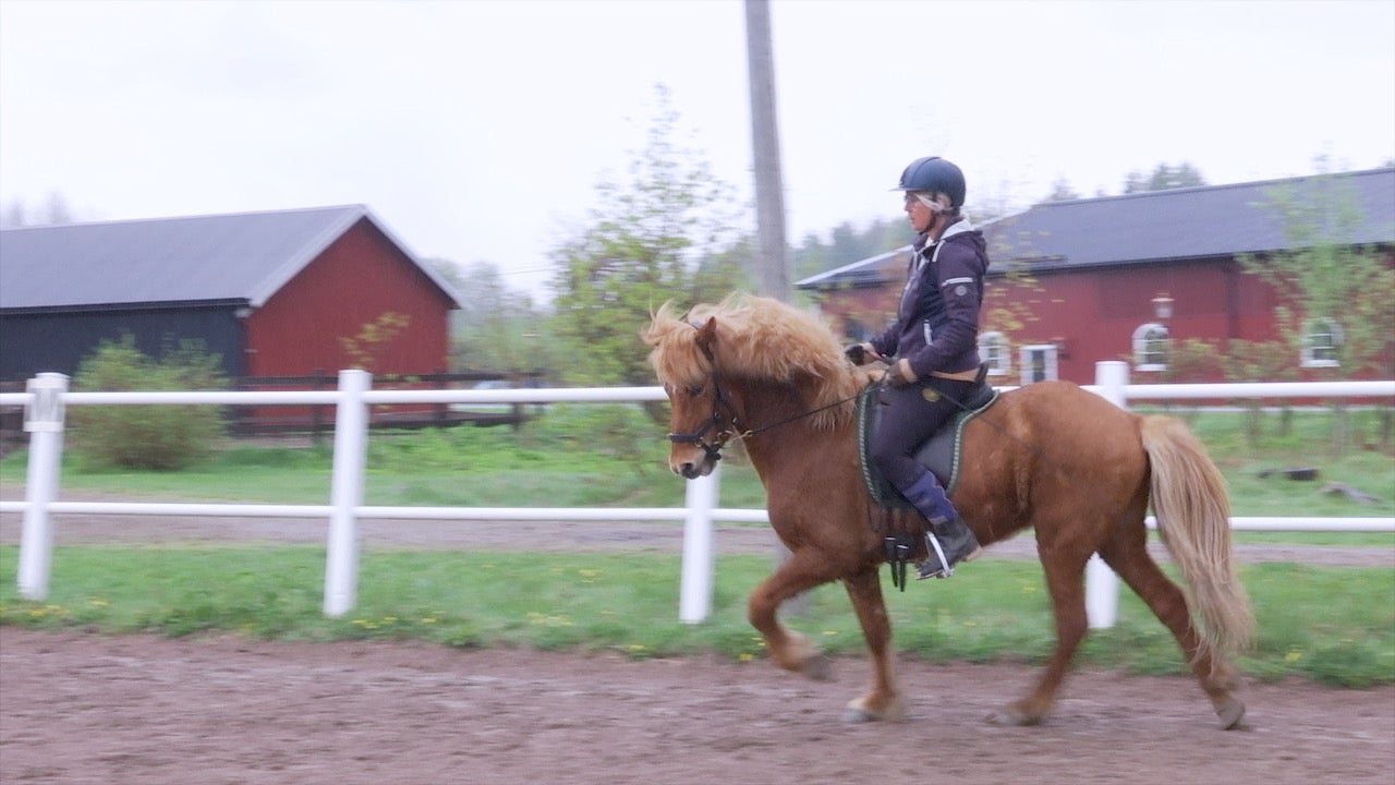 Helen Blom Nyast | Töltriding