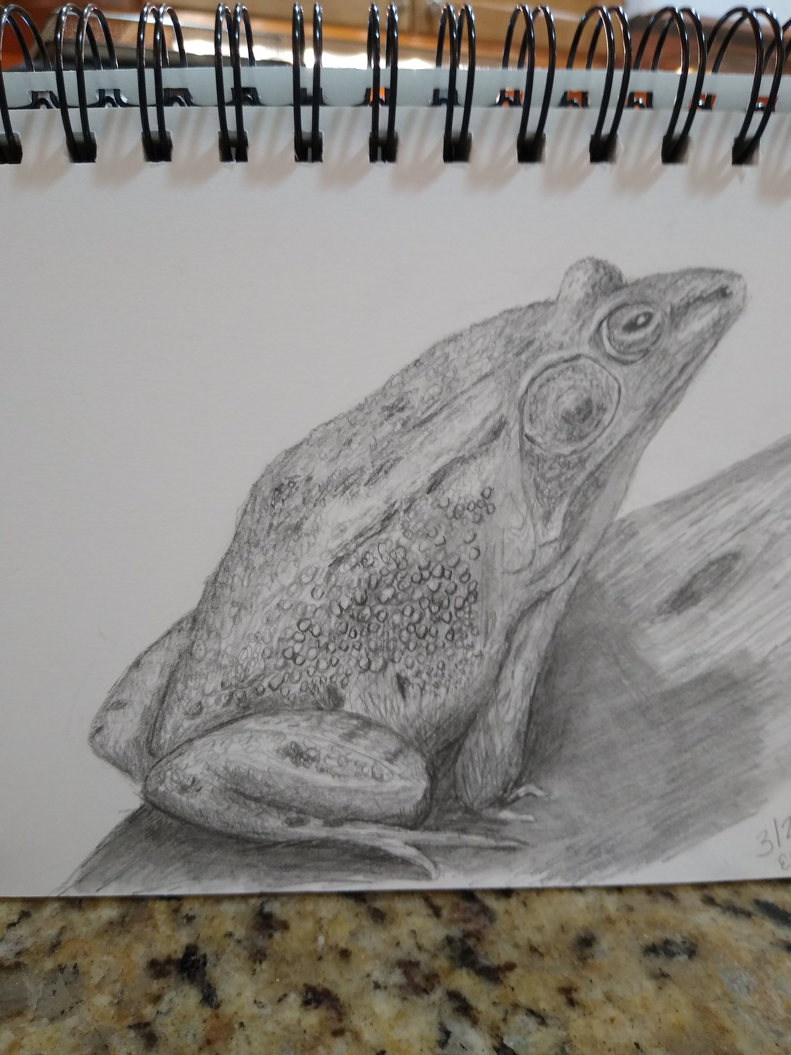 Textures and Depth with Graphite Pencil Drawing