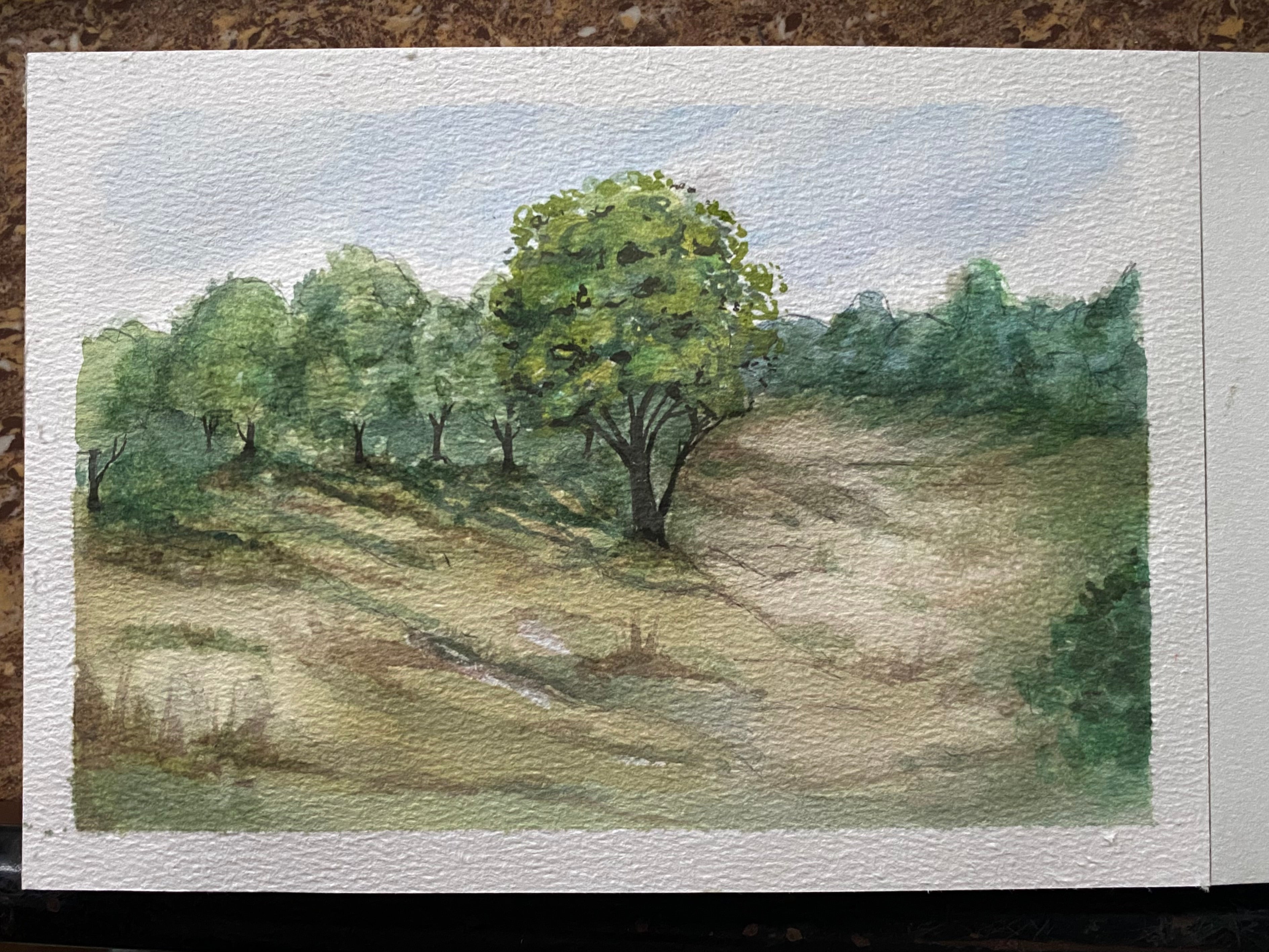 Painting Nature: Exploring Shapes and Values in Watercolour