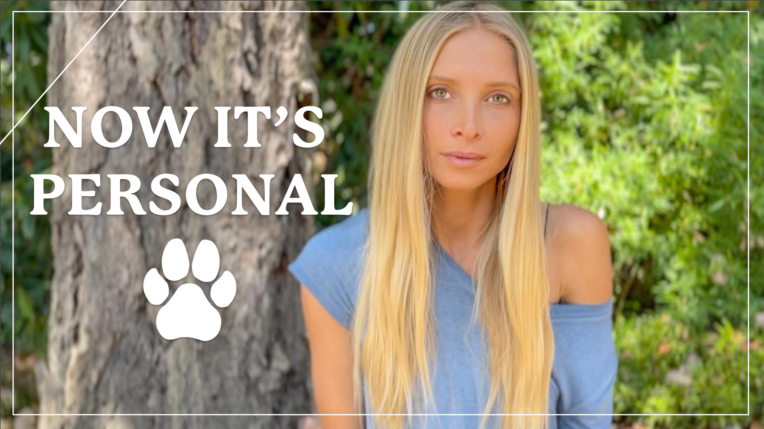 Karma Project: Saves The Dogs Of Ukraine