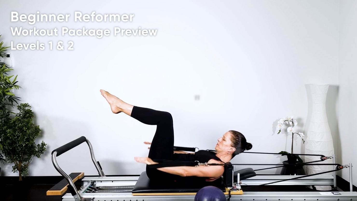 Pilates Reformer Workout Packages | Movement Medicine | nellh.tv