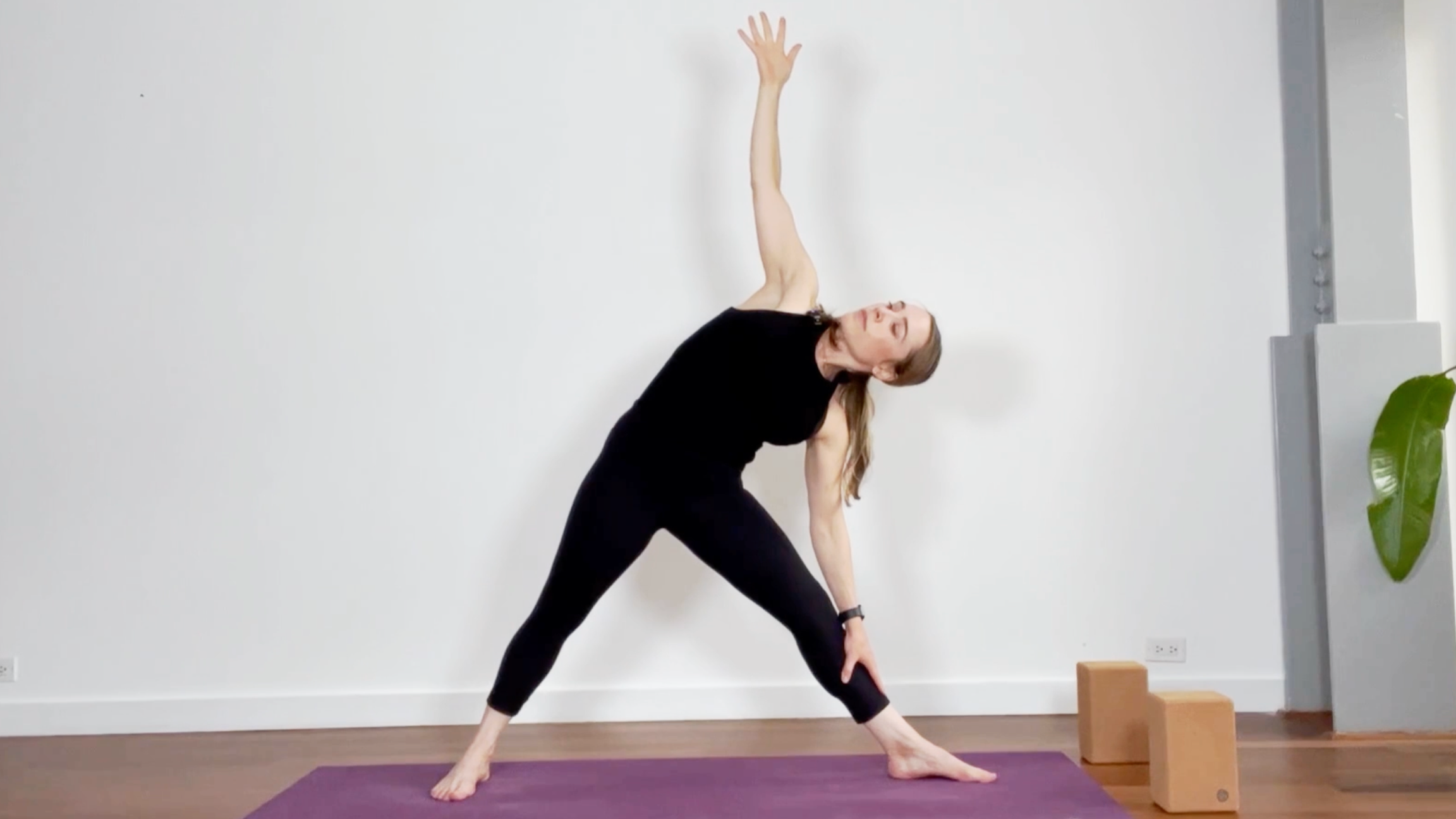 Physiyoga Flow: Full Body Balance