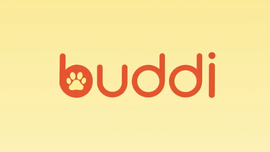 buddi