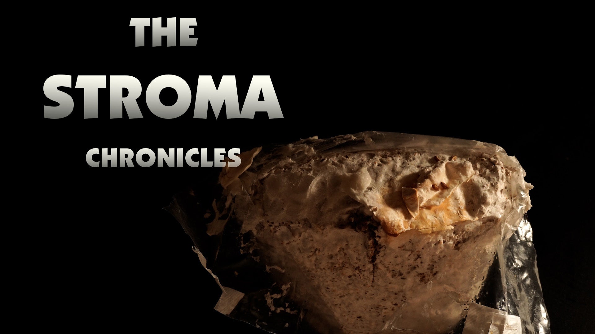 Stroma | MycoWizards