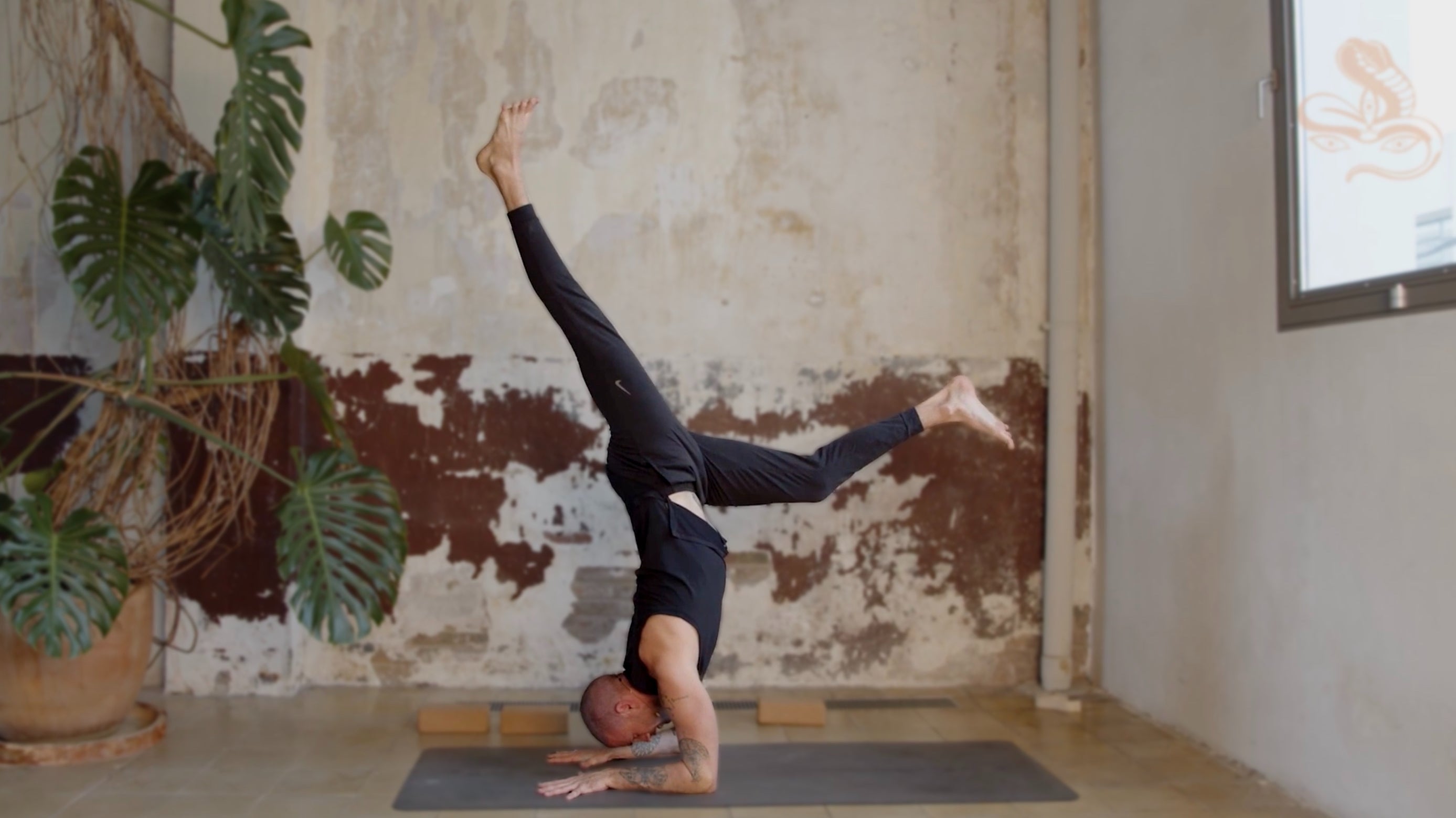 Tutorial: Pincha Mayurasana with Mitch Burnett